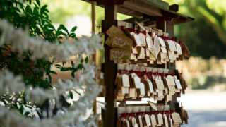 What is "Kami"? -Roots of Japanese spirituality.- | hiizuru -rising sun-